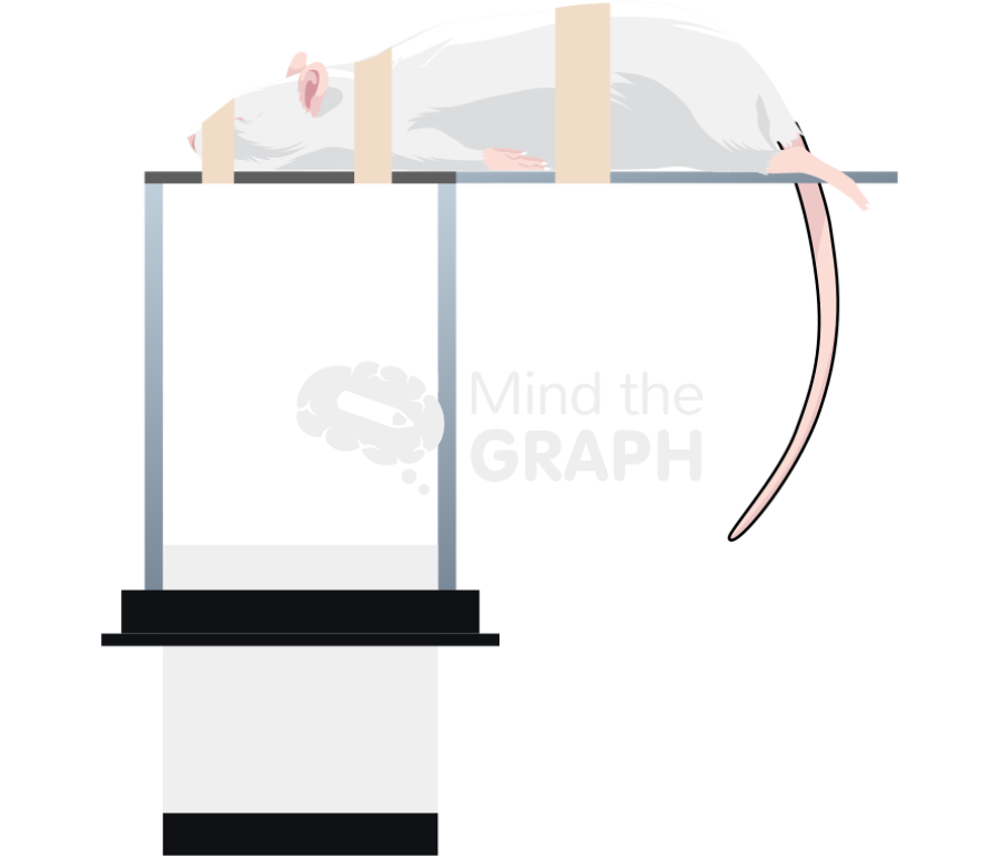 Free Rat exam anesthesis robotic stage lateral Icons, Symbols, Pictures ...