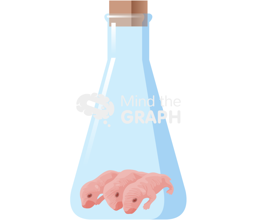 Free Rat newborn erlenmeyer frontal Icons, Symbols, Pictures, and ...