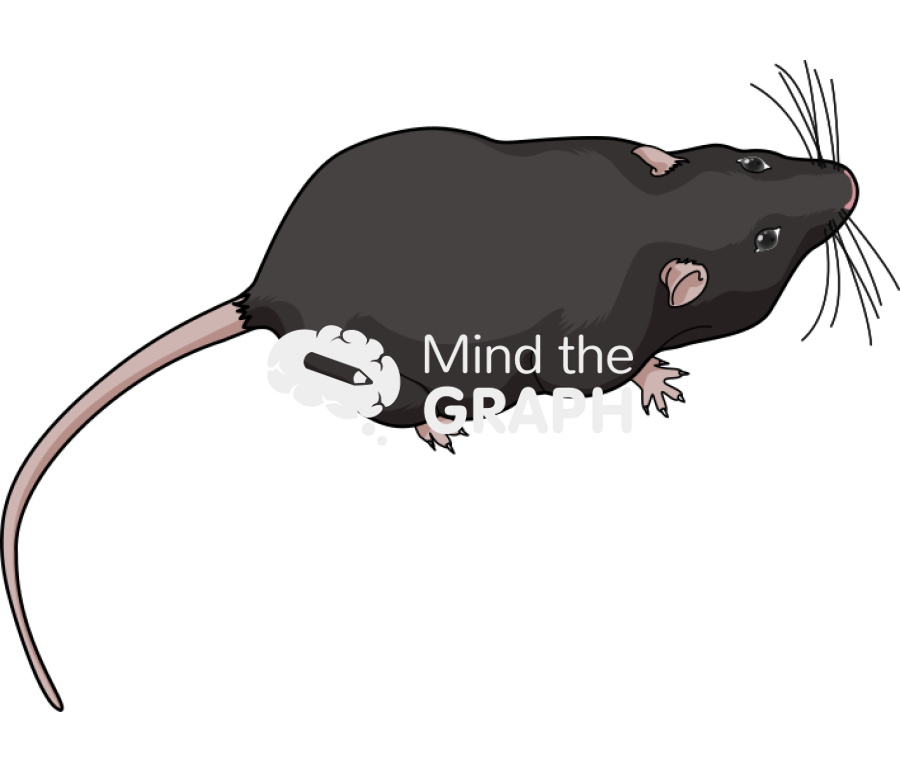 Free Rat top black 2 Icons, Symbols, Pictures, and Images | Mind the Graph
