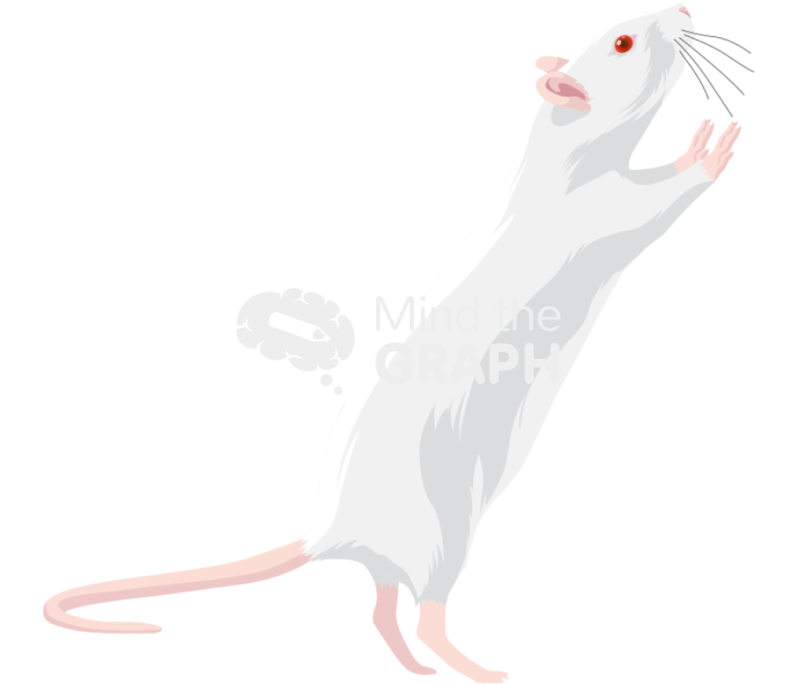 Free Rat trying reach Icons, Symbols, Pictures, and Images | Mind the Graph