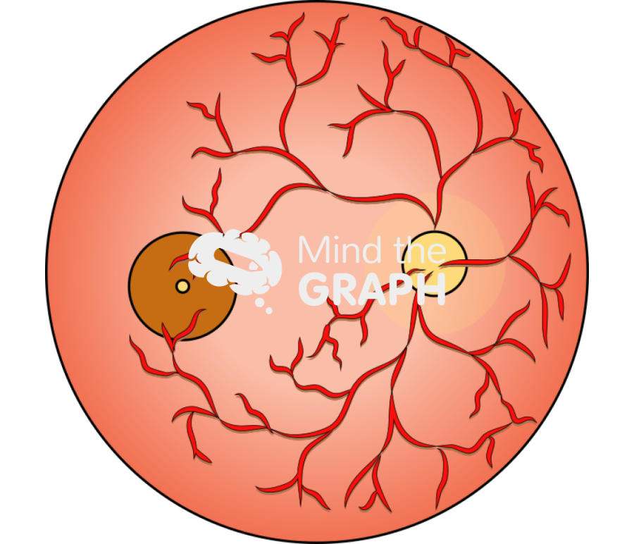 Free Retina Icons, Symbols, Pictures, and Images | Mind the Graph