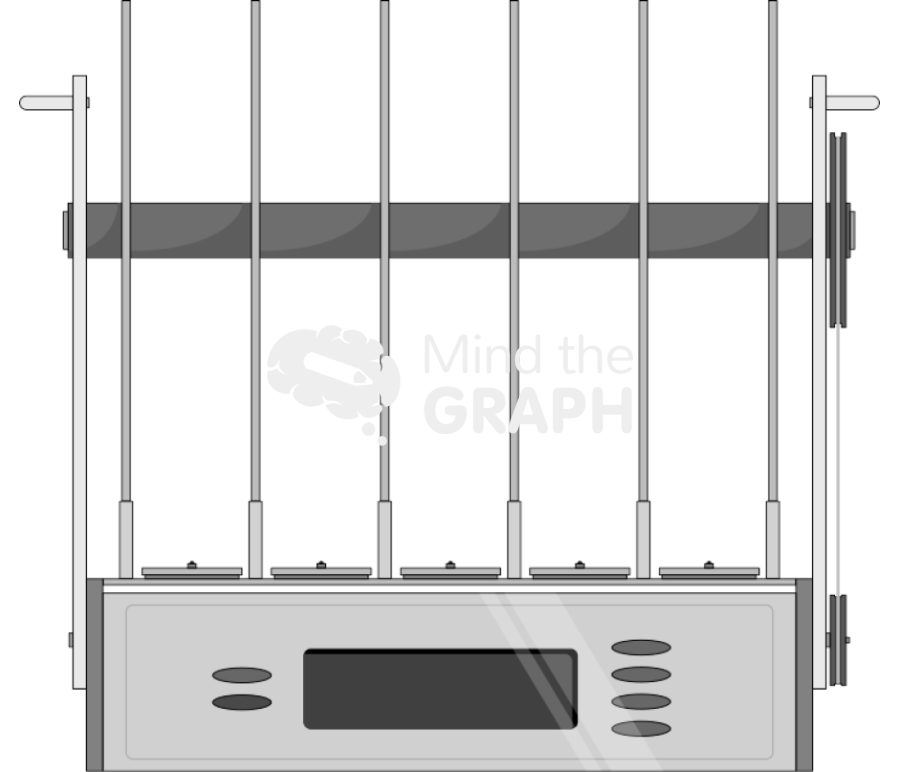 Free Rota rod empty Icons, Symbols, Pictures, and Images | Mind the Graph