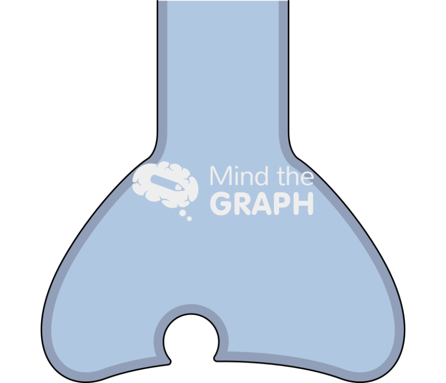 Free Synaptic cleft neuron vesicle Icons, Symbols, Pictures, and Images ...