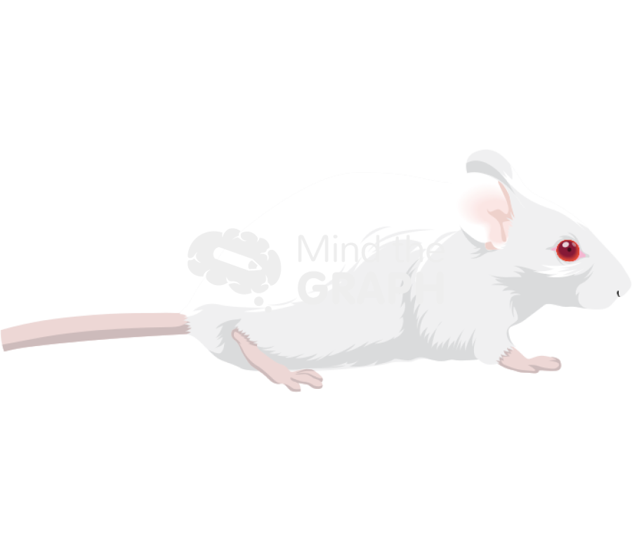 Free Tail imputation rat balbc Icons, Symbols, Pictures, and Images ...