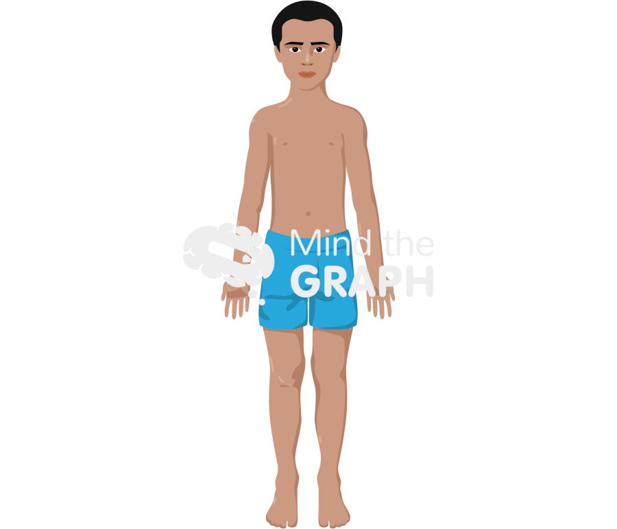 Tanned brown boy anatomic front