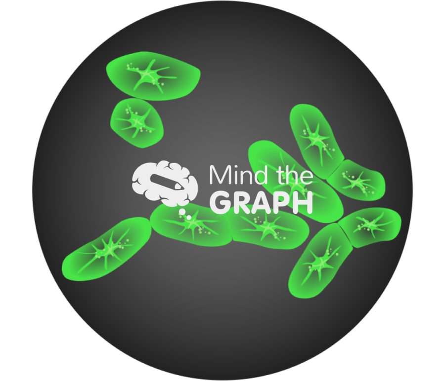 Tobacco by 2 cell culture zoom