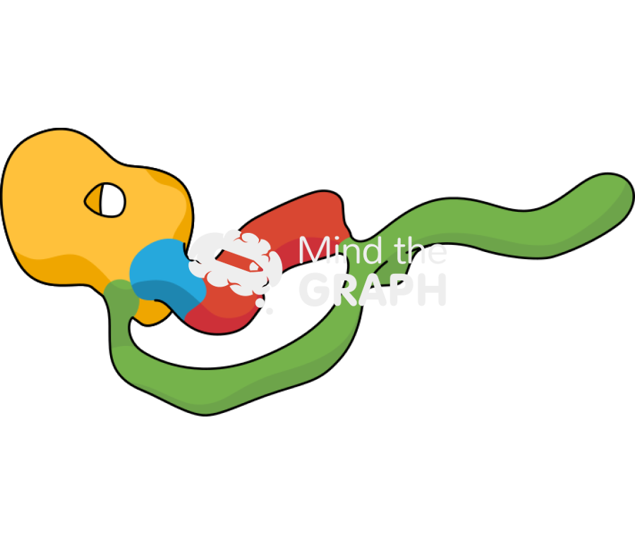 Free Toxin Clostridium Difficile 2 Icons Symbols Pictures And Images Mind The Graph