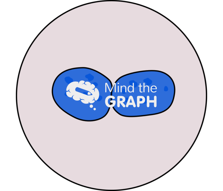 Trichosporon inkin blastoconidia zoom