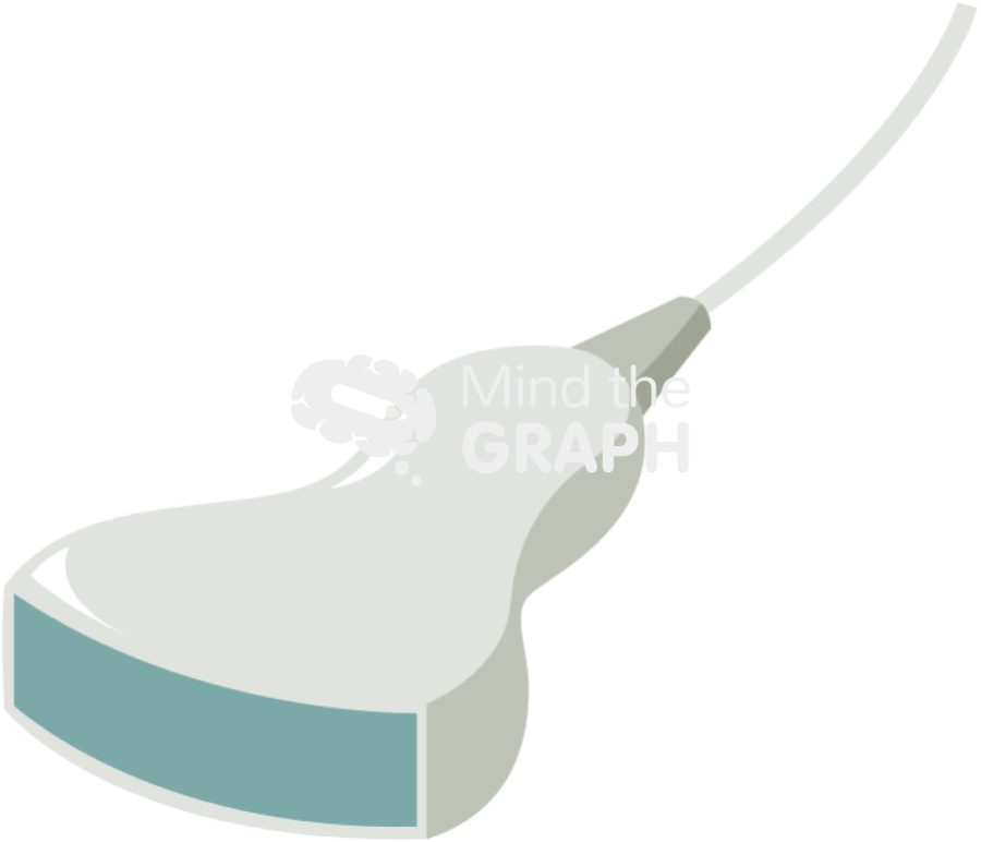 Ultrasonography probe 1