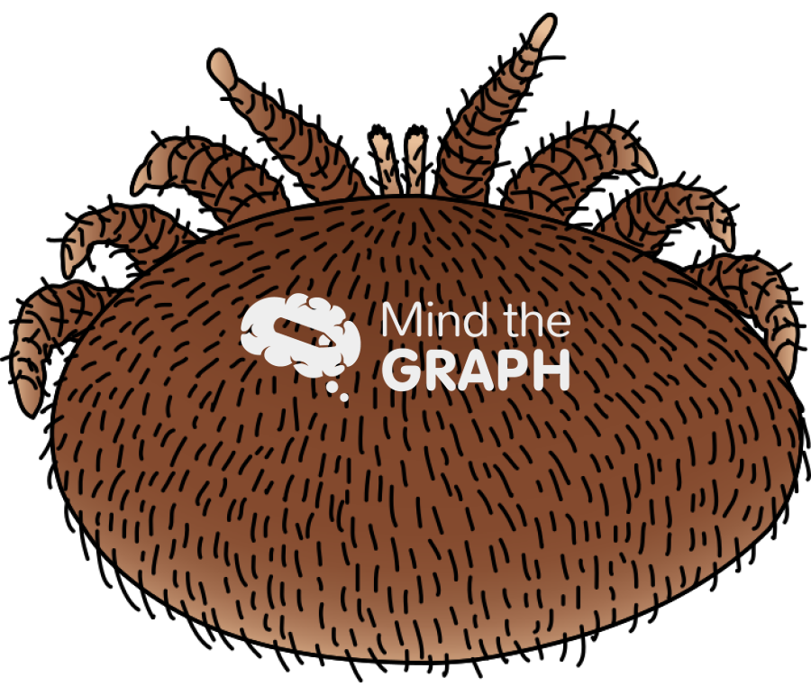 Free Varroa destructor dorsal Icons, Symbols, Pictures, and Images ...