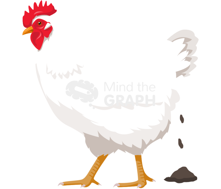 Free White chicken defecation Icons, Symbols, Pictures, and Images ...