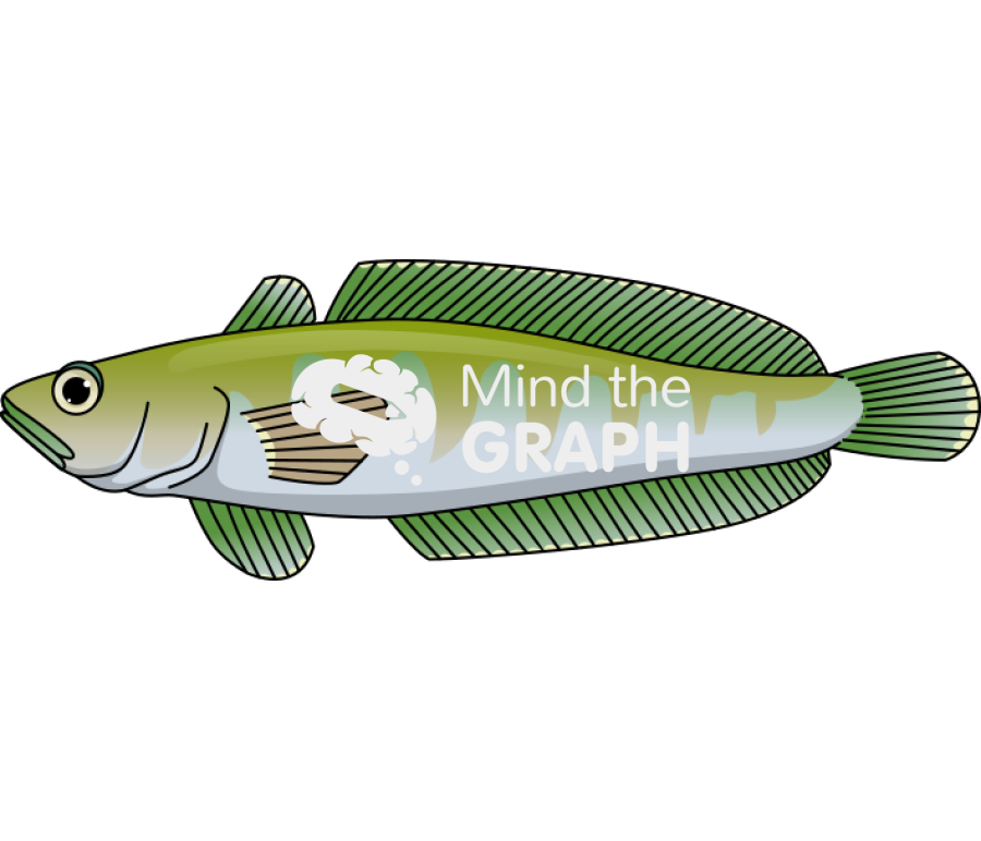 Free Yellowfin notothen lateral Icons, Symbols, Pictures, and Images ...